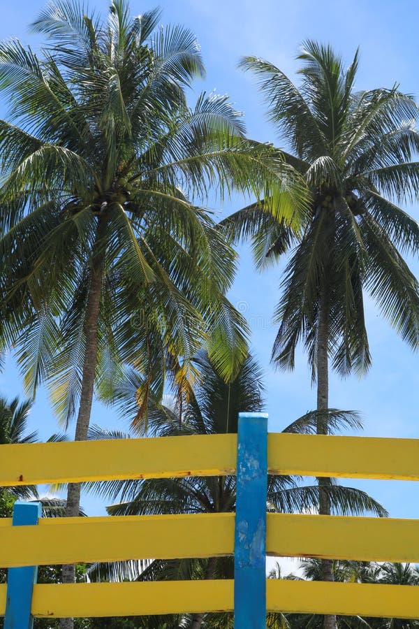Yellow and Blue Bridge with Palm Trees Stock Photo - Image of trees ...