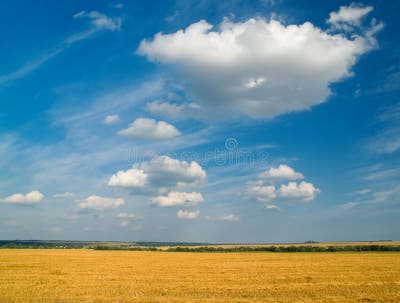 Yellow and blue landscape stock image. Image of plant - 3087663