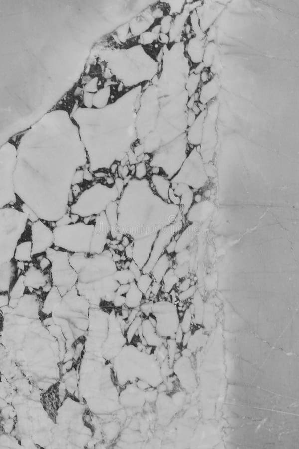 Marble floor stock photo. Image of wall, tiles, wallpaper - 84848694