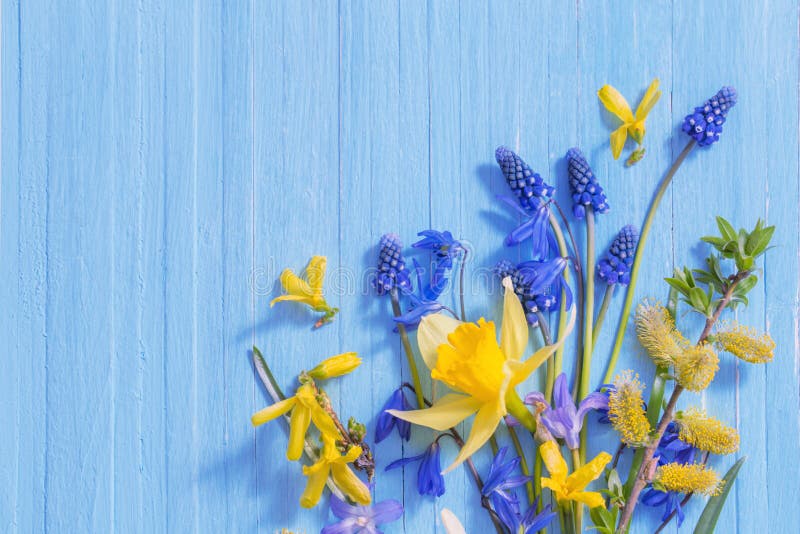 Yellow and Blue Spring Flowers on Wooden Background Stock Photo - Image ...