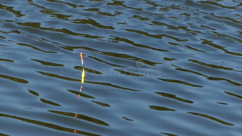 The Yellow Bobber Floating on the Surface of Water. Stock Footage ...