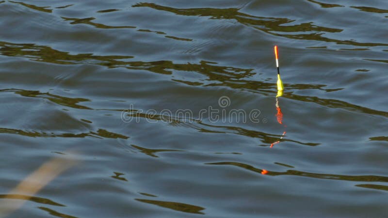 The Yellow Bobber Floating on the Surface of Water. Stock Footage ...