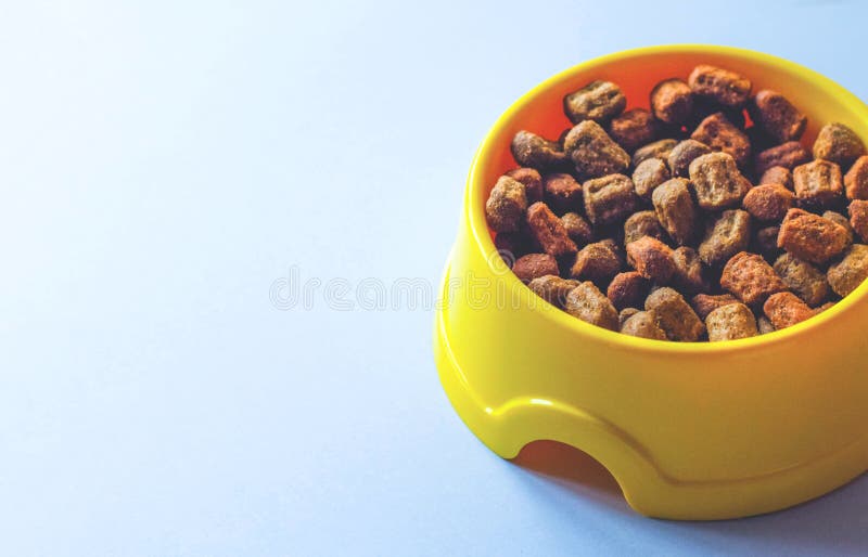 Yellow bowl with pet food. stock image. Image of napkin - 202817321