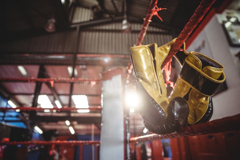 Yellow Boxing Gloves Hanging Off the Boxing Ring Stock Photo - Image of ...