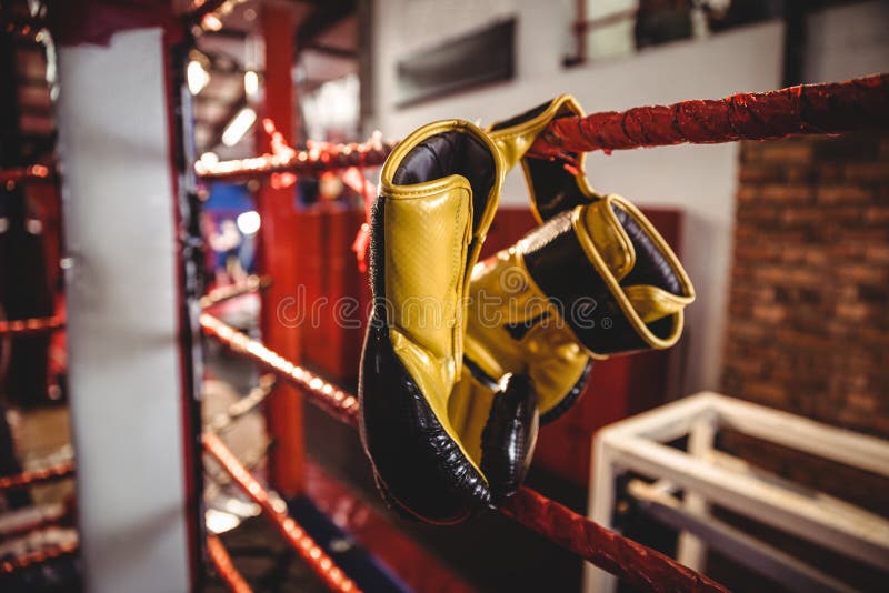 Yellow Boxing Gloves Hanging Off the Boxing Ring Stock Photo - Image of ...