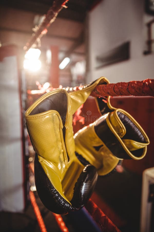 Yellow Boxing Gloves Hanging Off the Boxing Ring Stock Image - Image of ...