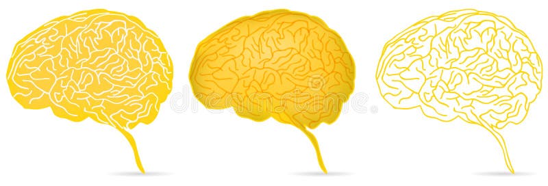 Yellow brain stock vector. Illustration of side, line - 20847446