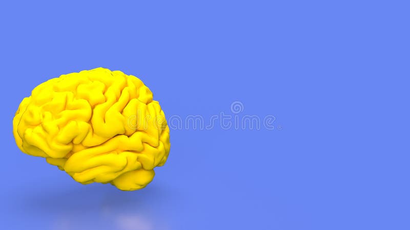 The Yellow Brain for Sci or Education Concept 3d Rendering Stock ...