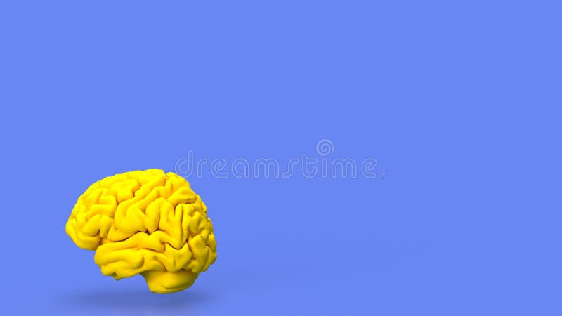 The Yellow Brain for Sci or Education Concept 3d Rendering Stock ...