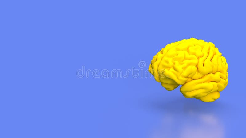 The Yellow Brain for Sci or Education Concept 3d Rendering Stock ...