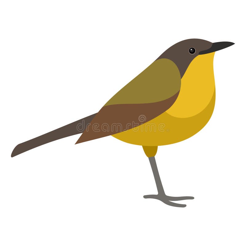 Yellow Breasted Chat Bird. Flat Style Vector Illustration. Stock Vector ...