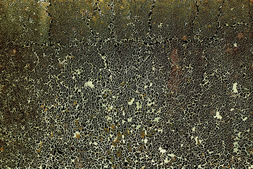 Yellow Brown Safari Texture, Leopard Print Stock Photo - Image of ...