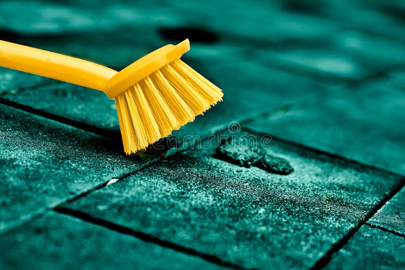 Green Brush Cleaning Stone Tiles Paving Stock Photos - Free & Royalty ...