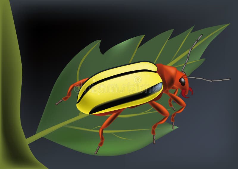 Yellow bug stock vector. Illustration of macro, design - 12755240