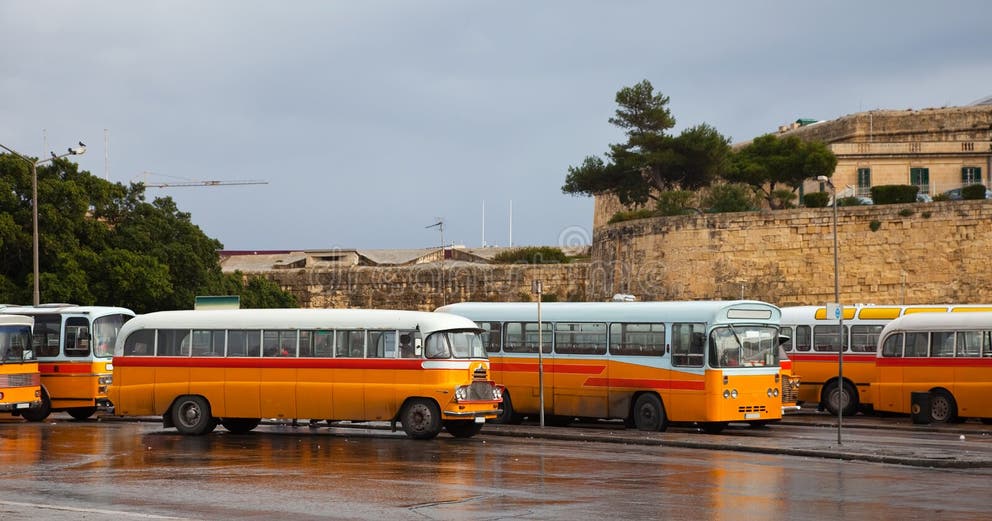 Yellow buses. Malta stock image. Image of white, vehicle - 17633529