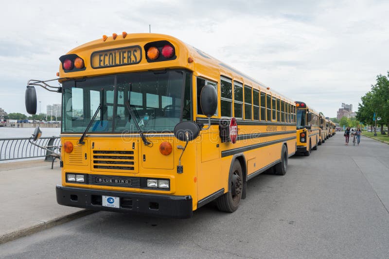 Yellow Buses Parked in the Old Port of Montreal Editorial Photo - Image ...