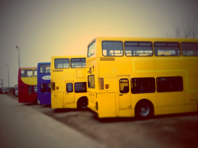 Yellow buses stock photo. Image of yellow, parking, buses - 58704214