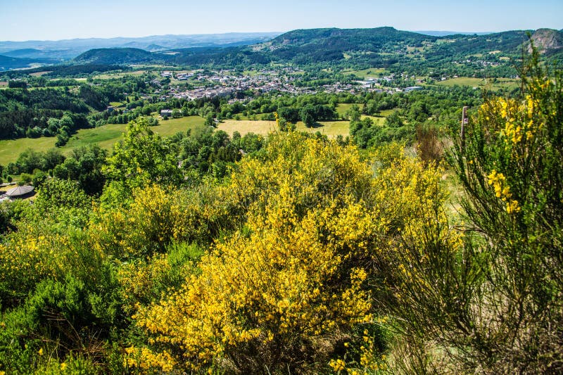 Yellow Bush on the Peak of the Mountain on a Sunny Day Stock Photo ...