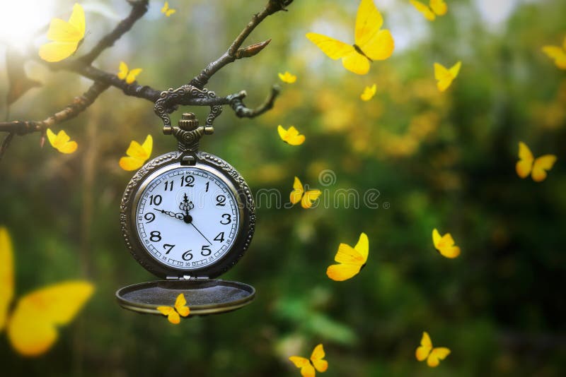 Pocket Watch Hanging in a Tree Branch Surrounded by Autumn Leave Stock ... Pocket Watch Hanging in a Tree Branch Surrounded by Autumn Leave Stock ...
