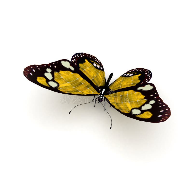Yellow Butterfly Greeting Card Stock Illustration - Illustration of ...