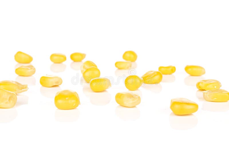 Yellow Canned Corn Isolated on White Stock Photo - Image of group, diet ...