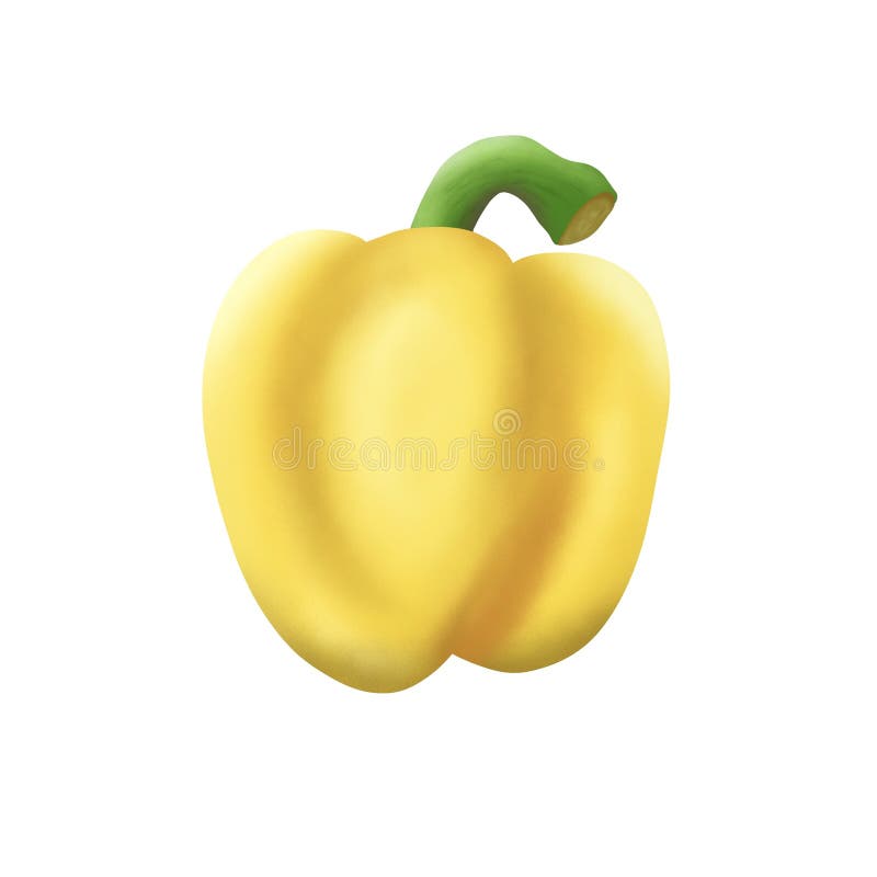 Yellow Capsicum Stock Illustrations – 3,500 Yellow Capsicum Stock ...