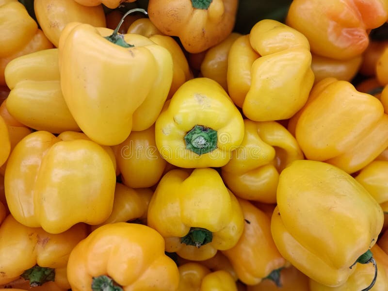 Yellow Capsicum in the Market Stock Photo - Image of freshness, health ...