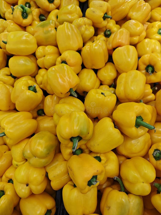 Yellow capsicum wallpaper stock photo. Image of tomato - 351960258