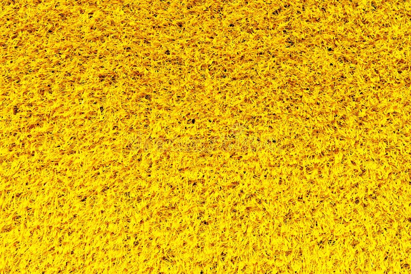 Yellow carpet texture stock image. Image of retail, decor - 27504465