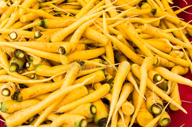 Yellow Carrots at the Market Stock Photo - Image of organic ...