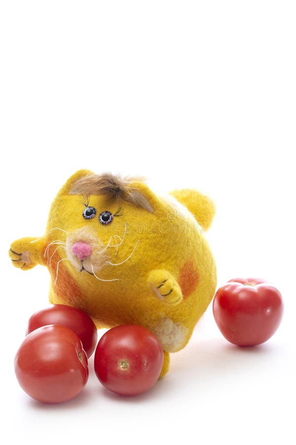 Yellow Cat - Soft Toy Made of Felt Wool Stock Photo - Image of feeling ...