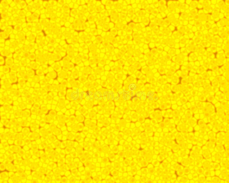 Yellow Cells stock photo. Image of graphic, polystyrene - 519226