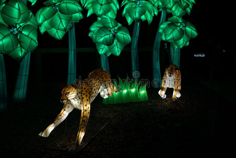 Yellow cheetah lantern editorial stock image. Image of asia - 167417799
