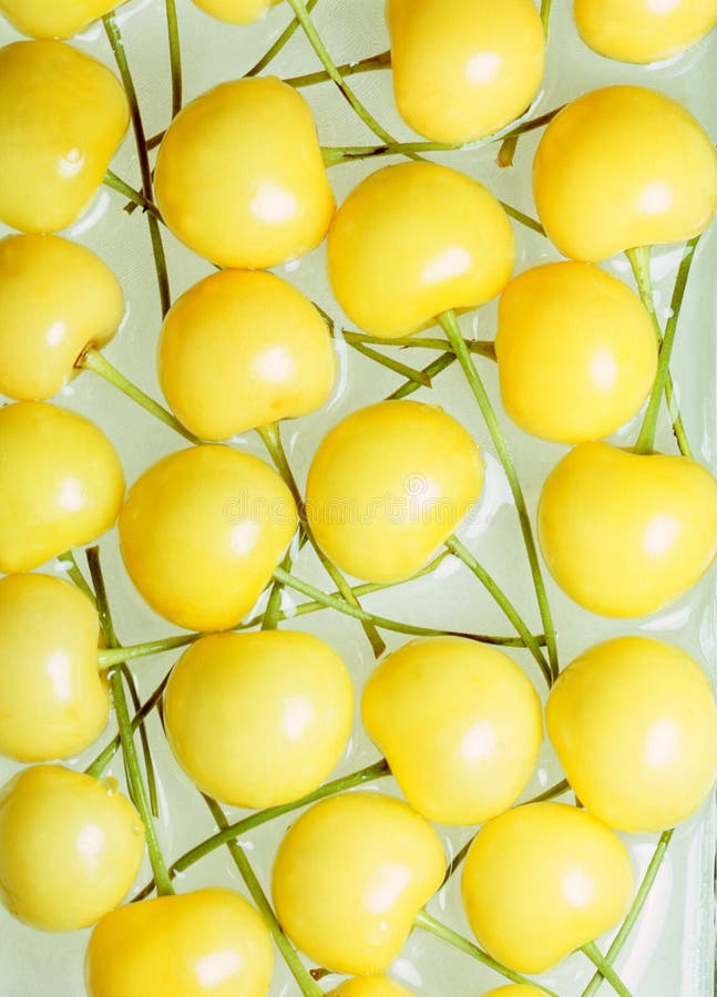 Yellow cherry stock photo. Image of harvest, background - 2924316