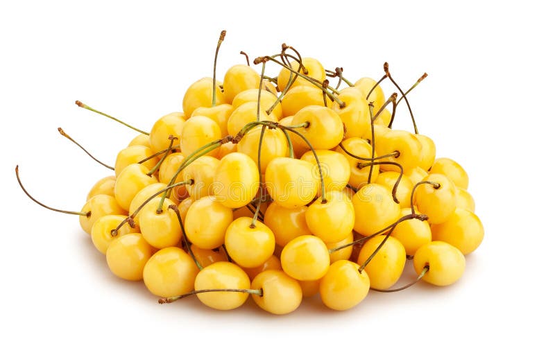 Yellow Cherry Path Isolated Stock Image - Image of cherries, bright ...