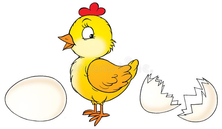 Animated White Chicken Stock Illustrations – 652 Animated White Chicken ...