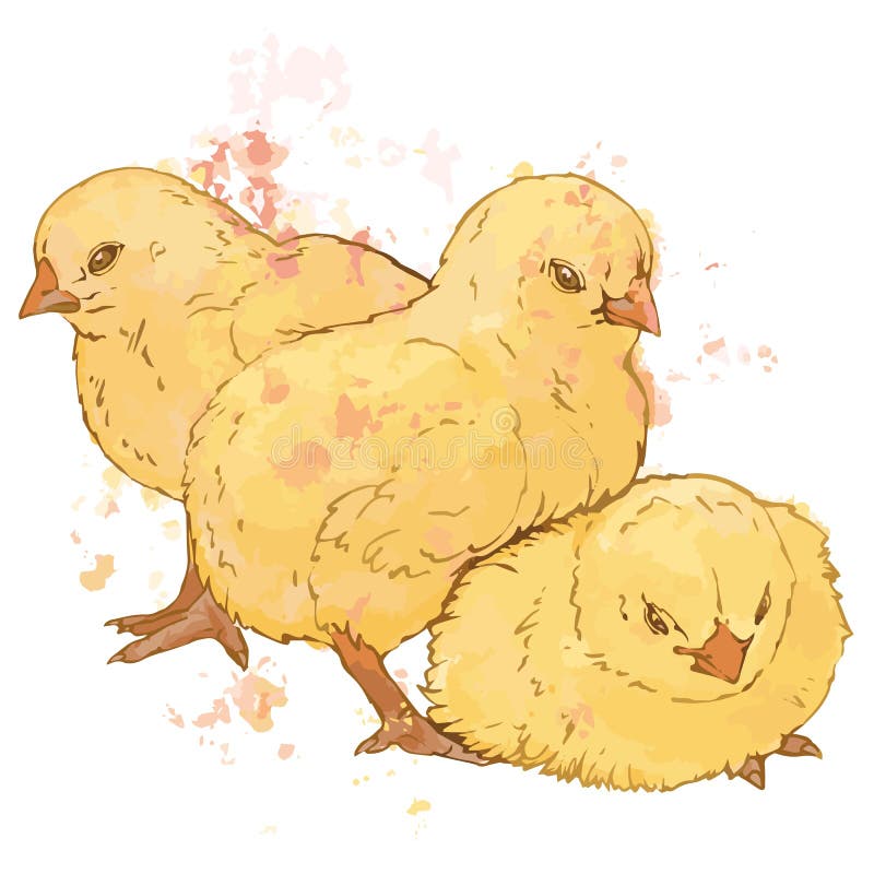 Dancing Chickens Stock Illustrations – 38 Dancing Chickens Stock ...