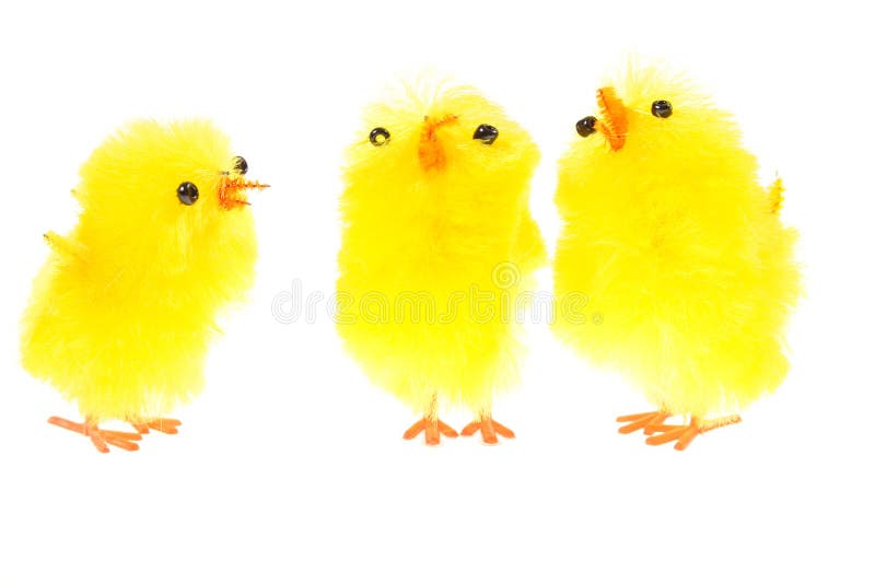 Yellow chicklings stock image. Image of spring, sweet - 13321207