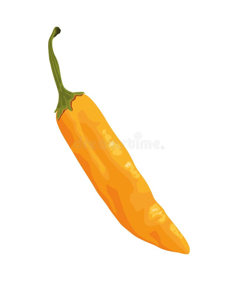 Yellow Chilli Hot Vegetable Stock Illustration - Illustration of spice ...