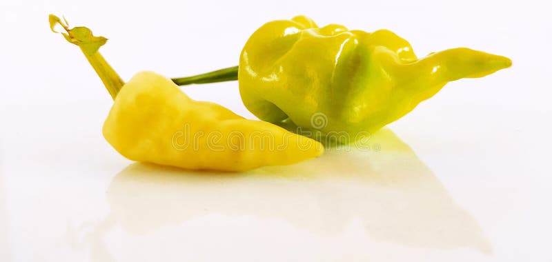Yellow Chilli - Isolated on a White Background Stock Image - Image of ...