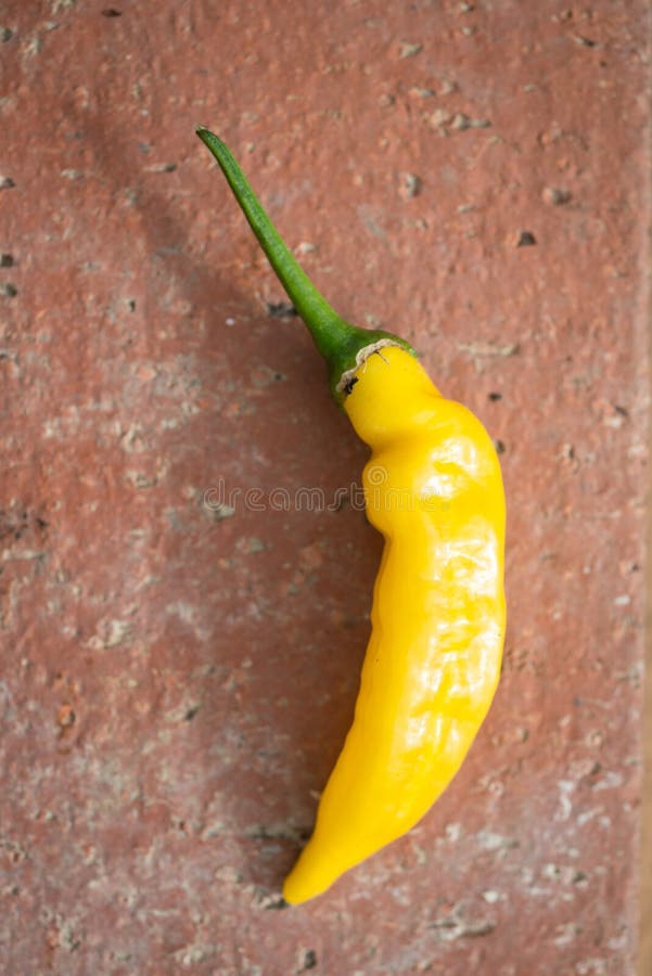 Yellow Chilli Pepper Against Red Brick Background Stock Image - Image ...