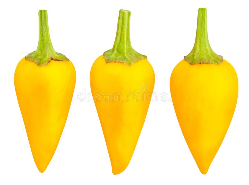 Yellow chilli pepper stock image. Image of fresh, small - 129098727