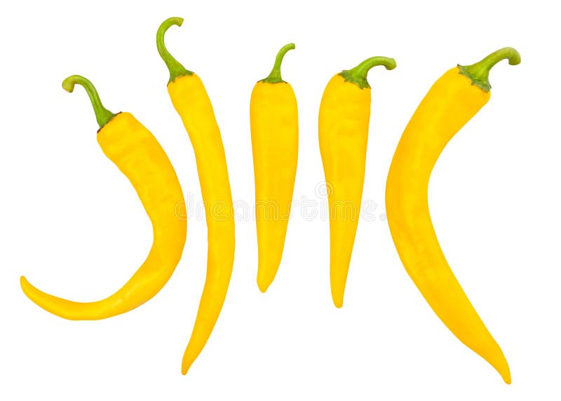 Yellow chilli pepper stock photo. Image of isolated - 129099886