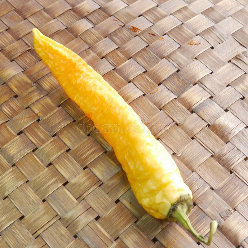 Yellow Chilli stock image. Image of remote, vegetable - 66578823