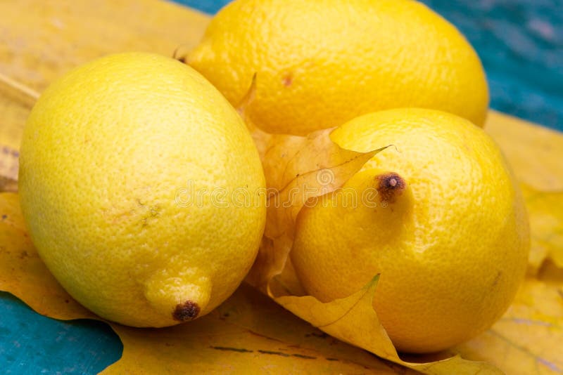 Yellow citric still-life stock image. Image of fancy, colour - 487345