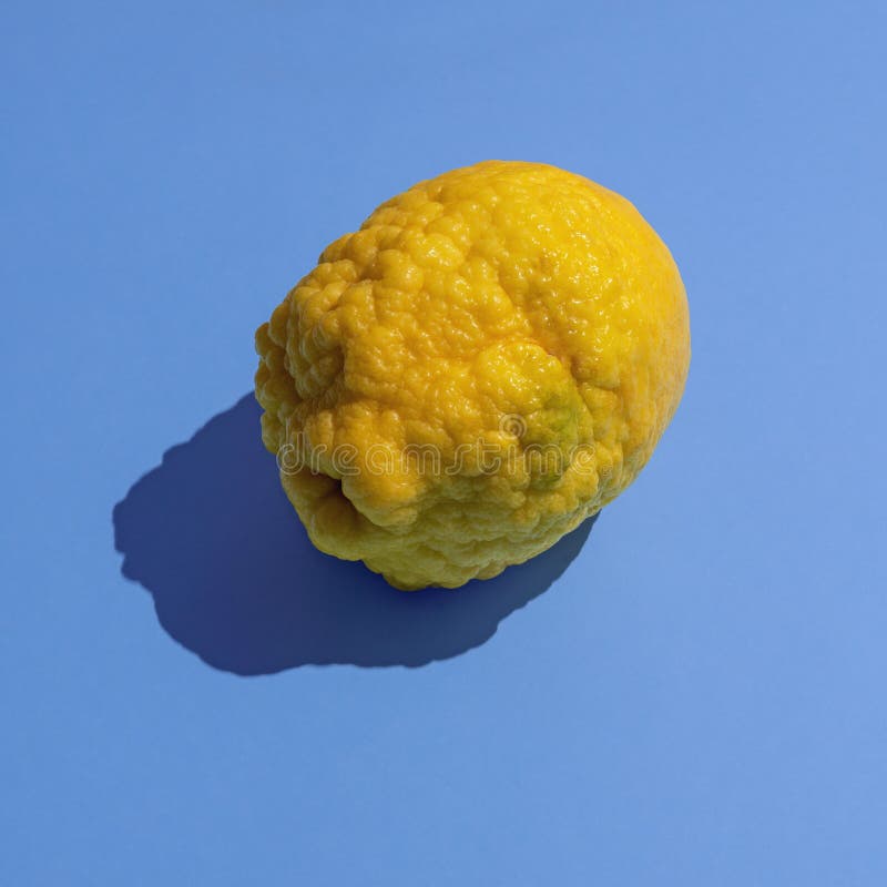Yellow Citron Citrus Medica, Cedrate Fruit on Blue Stock Photo - Image ...