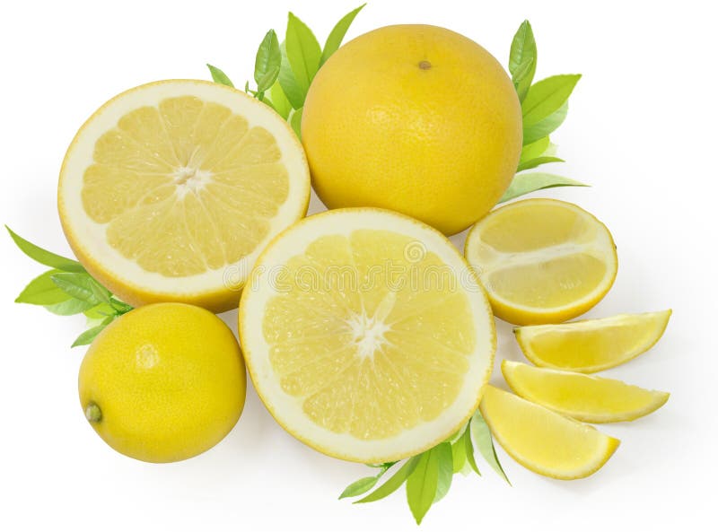 Yellow citrus stock image. Image of health, orange, lemonade - 15088085