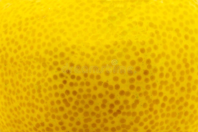 Yellow Citrus Fruit Peel Close Up Texture Background Stock Image Image Of Citrus Lemon 260061189