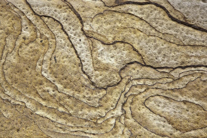 Yellow cladding stone stock image. Image of stone, cladding - 23250345