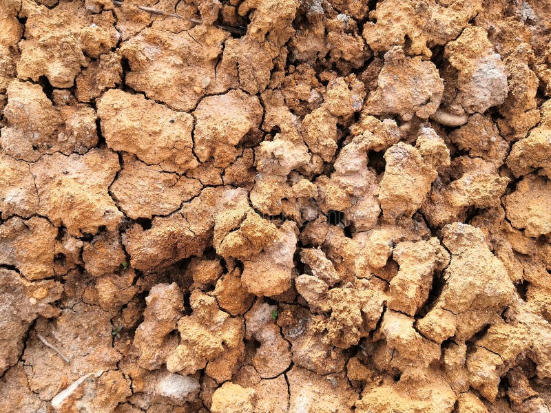 Yellow clay stock photo. Image of dish, rock, baking - 221085138